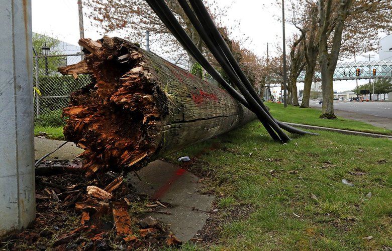 City Light releases more details on poles that collapsed, but says it ...