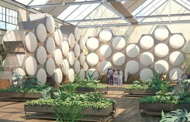 Washington may become first state to legalize human composting | The ...