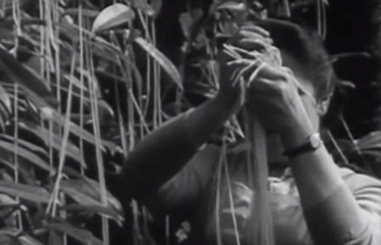 Happy April Fools’ Day! Here are some pranks done right — and terribly ...