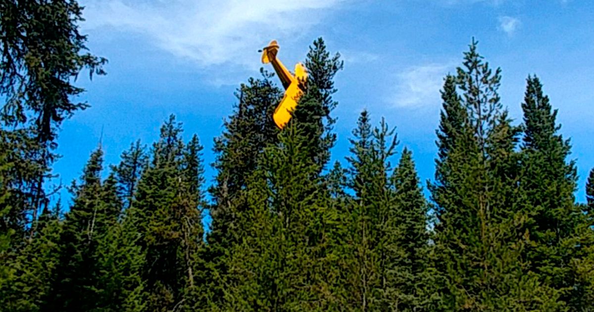 Pilot rescued from plane that crash-landed atop Idaho tree | The ...