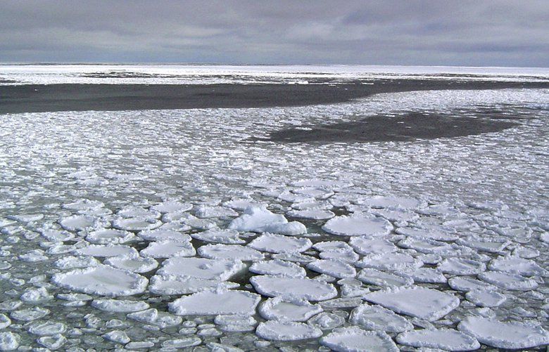 Floating Antarctic ice goes from record high to record lows | The ...