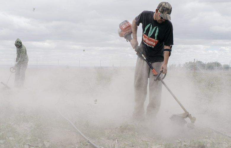 Plentiful jobs but slow growth: 10 facts about the expansion | The ...