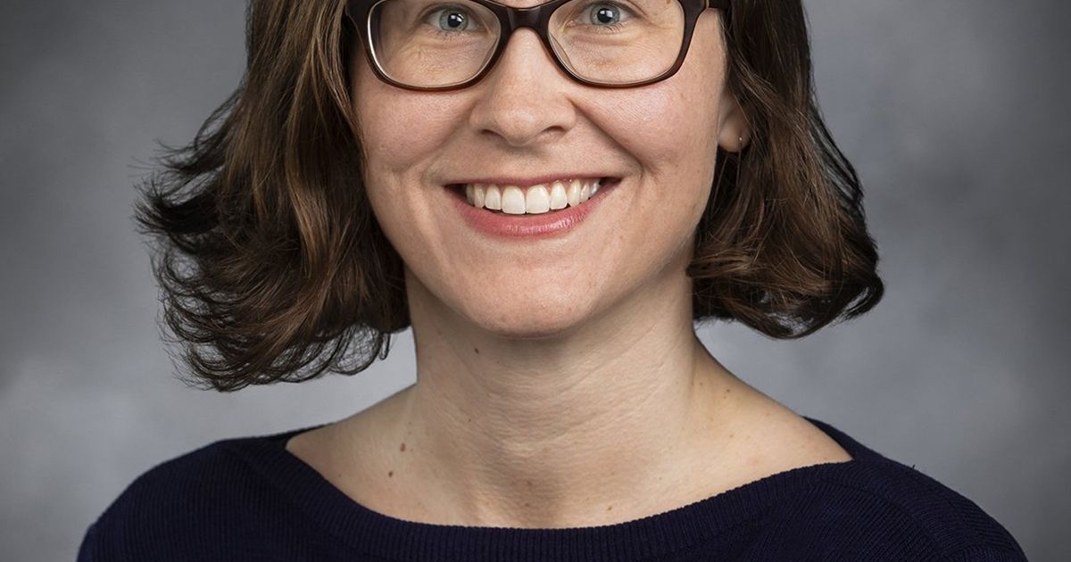 Washington state Senate election north of Seattle draws attention among ...