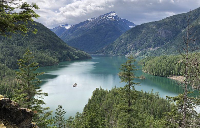 Travel tips and dog-friendly places we visited on our Cascade Loop ...