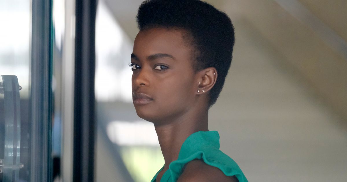 Australian model sentenced for airline flight disturbance | The Seattle ...