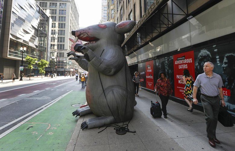 Scabby the giant inflatable protest rat faces extermination by national ...