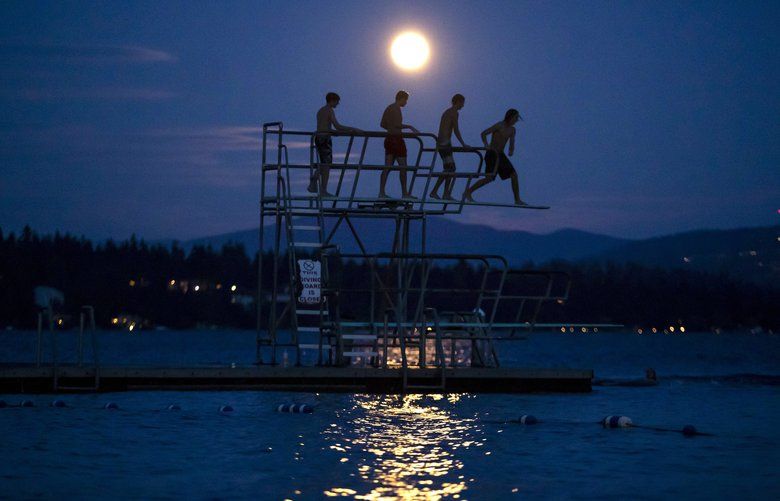 With the moon nearly full, swimmers take a late-night dive | The ...