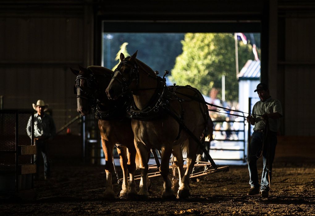 Kids and rides and games and fun at The Evergreen State Fair | The ...