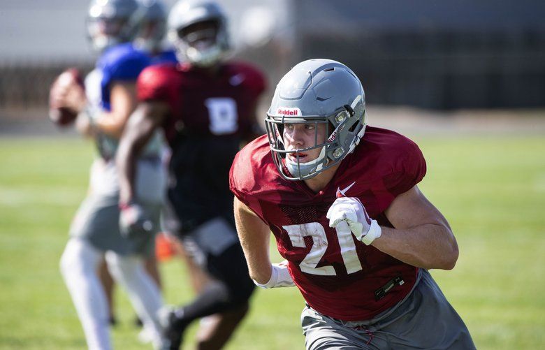 ‘I just like making plays’: WSU’s Max Borghi is a perfect fit for the ...