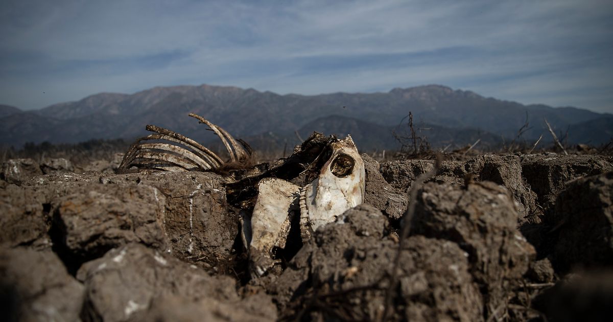 Worst drought in decades hits Chile capital and outskirts | The Seattle ...