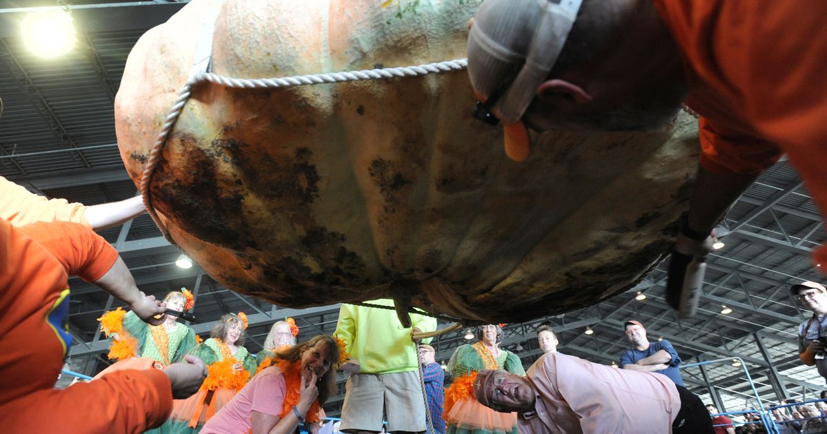 There’s a new Alaska state record for giant pumpkins | The Seattle Times