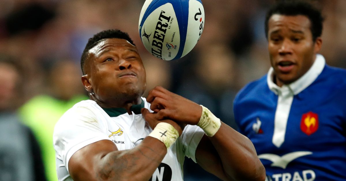 Springboks rugby player Aphiwe Dyantyi facing doping ban | The Seattle ...