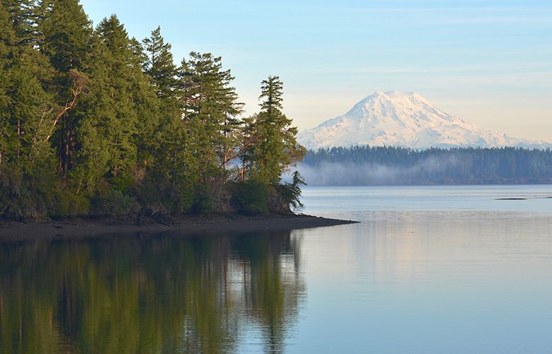 10 ways you can contribute to the recovery of Puget Sound | The Seattle ...