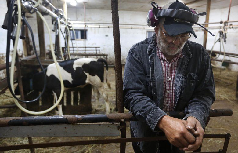 Concerns grow over tainted sewage sludge spread on croplands | The ...