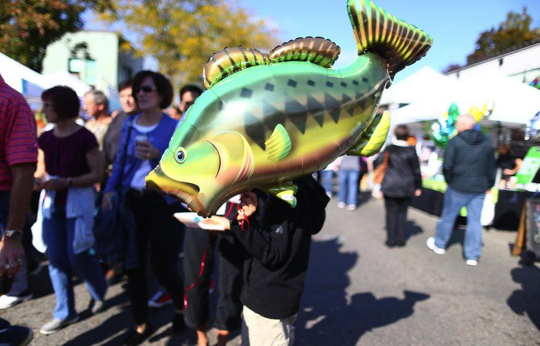Issaquah Salmon Days Festival is swimming with fun things to do for ...
