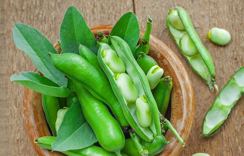 Ancient, tasty fava beans remain a popular crop that’s easy to grow ...
