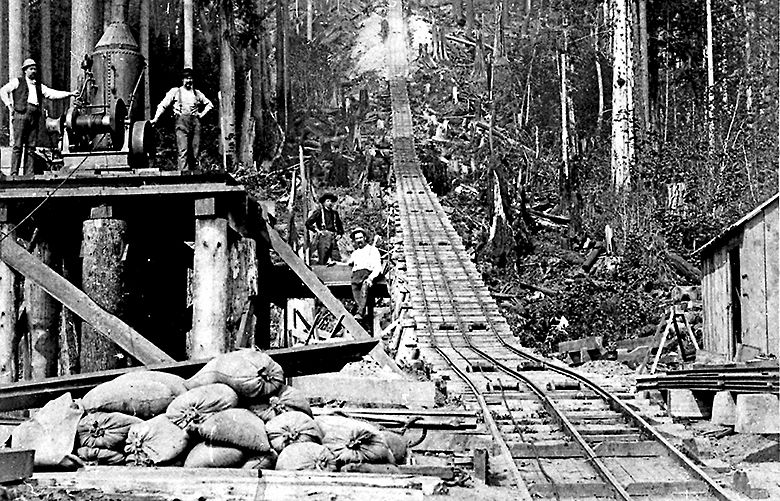 A suburban Eastside gully emerges as the elusive 1874 coal tramway ...