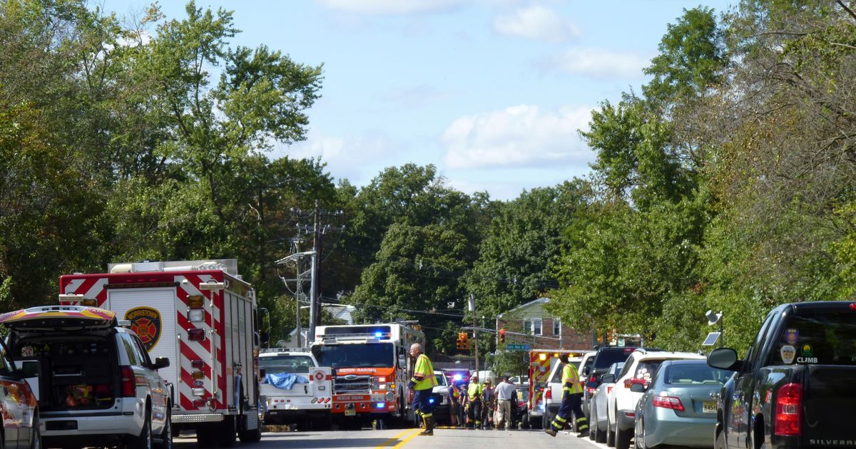 Pilot spends hours in treetops after small plane crashes | The Seattle ...