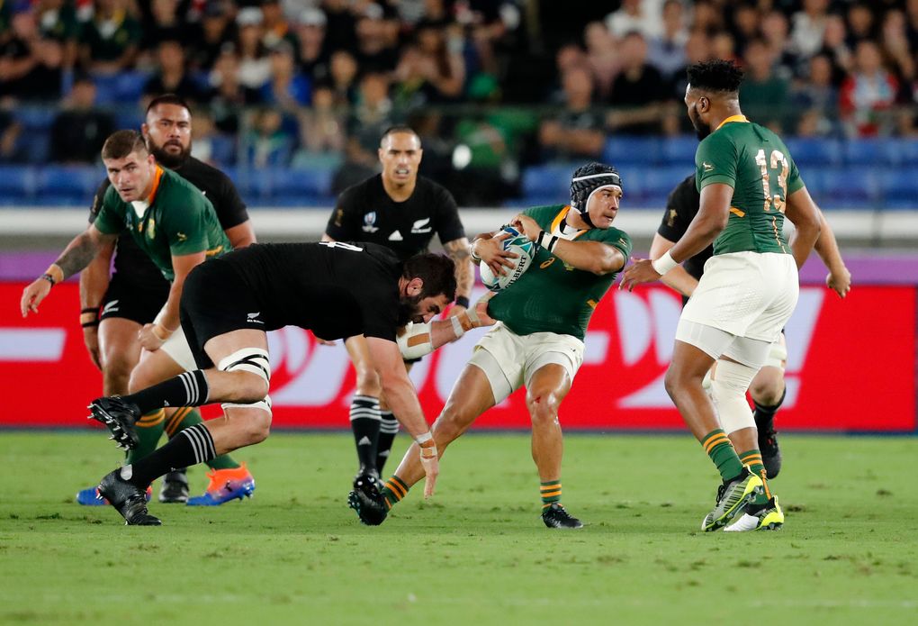 springbok loss