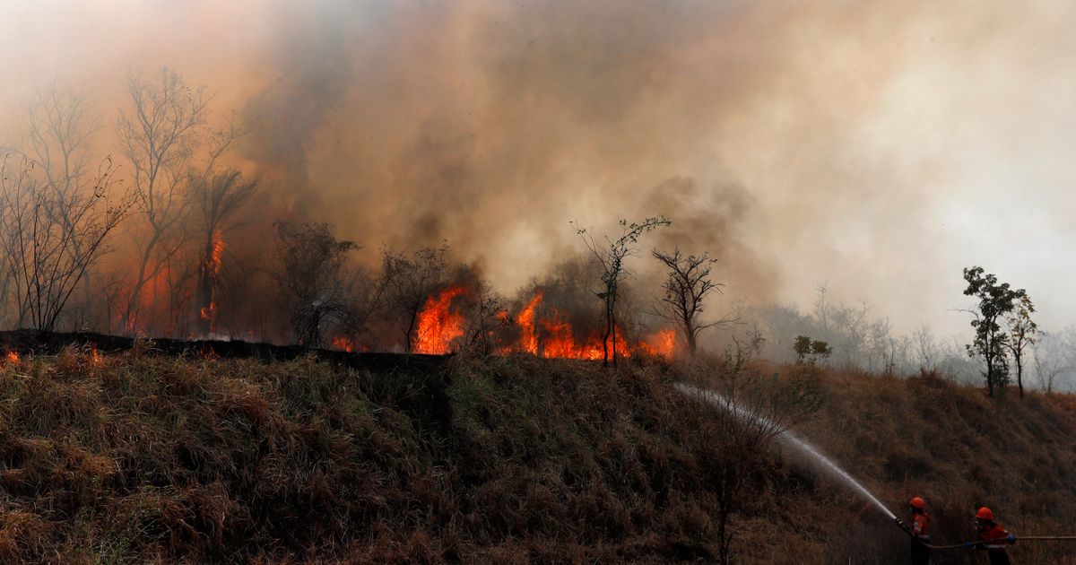 Conservation group: Bolivia fires ravaged big cat habitat | The Seattle ...