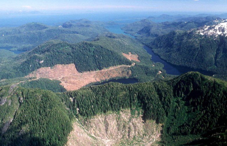 Trump administration proposes expanding logging in Alaska’s Tongass ...