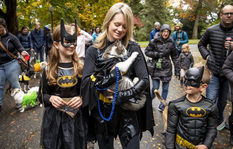 Putting on the dog — and cat — at the Halloween Pet Parade | The ...