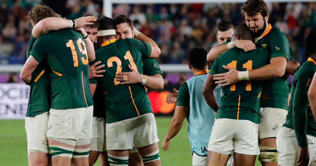 Springboks eke out 19-16 win over Wales, reach RWC final | The Seattle ...