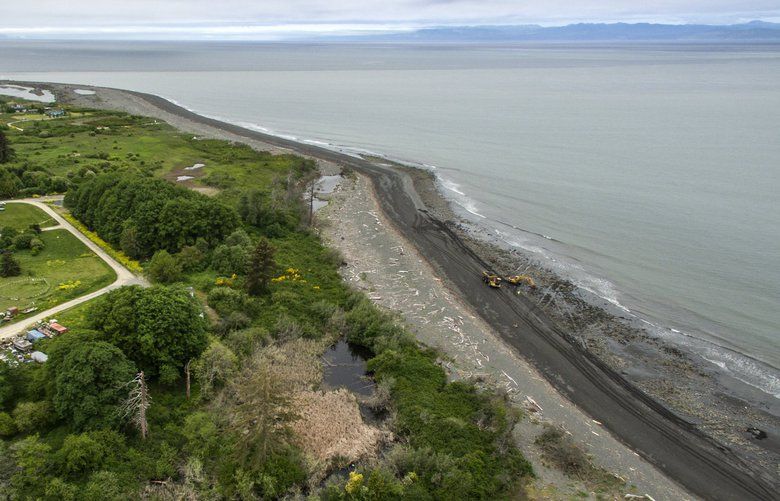 Feds agree to more environmental scrutiny of sea walls, bulkheads on ...