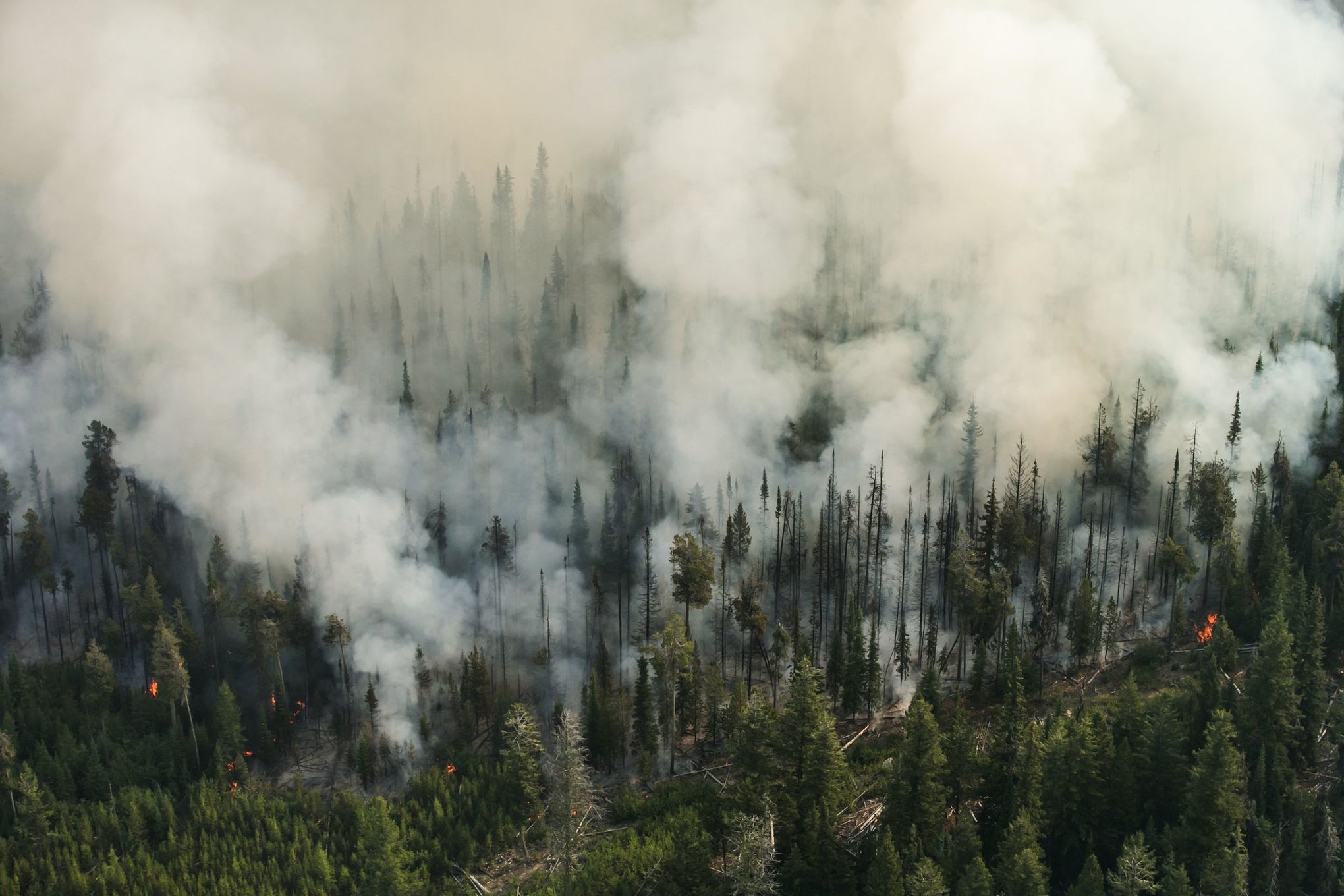 Lands Of Fire New Insurance Surcharge To Fight Wildfires To Be