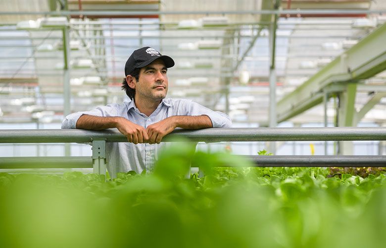 Indoor farming is one of the decade’s hottest trends, but regulations ...