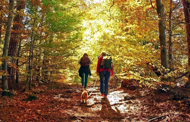 Is time in nature really good for our health? REI is paying to find out ...