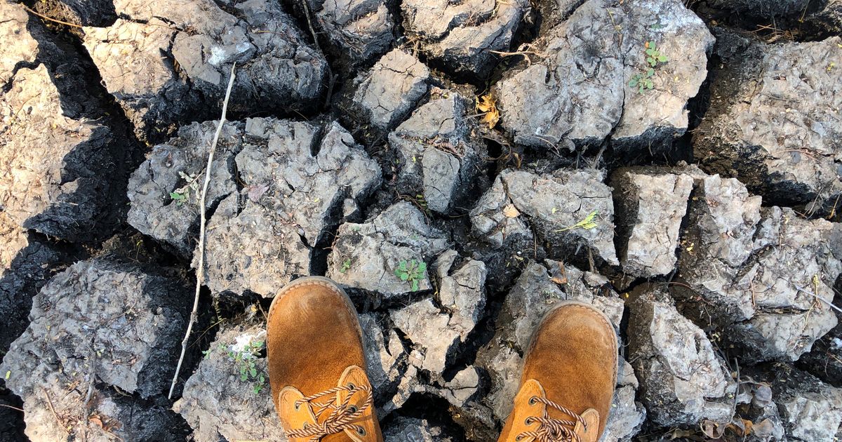 Drought parches southern Africa, millions faced with hunger | The ...