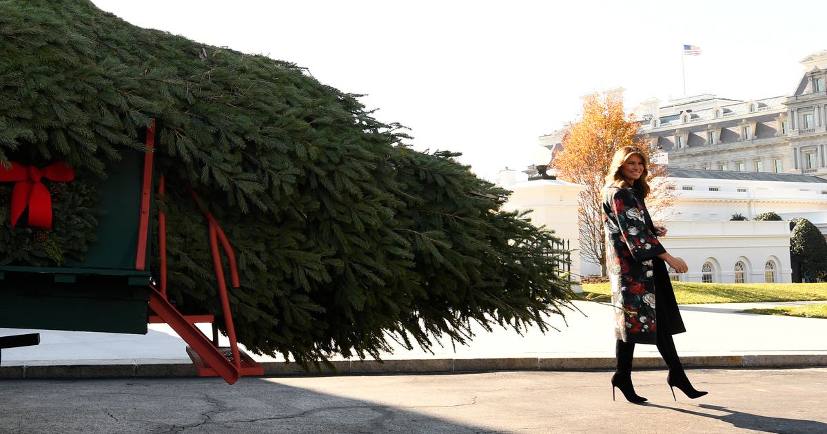 Melania Trump receives official White House Christmas tree | The ...