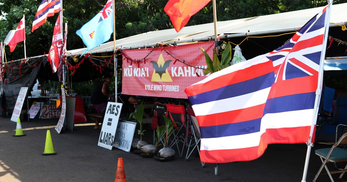 Telescope protest inspires more Native Hawaiian activism | The Seattle ...