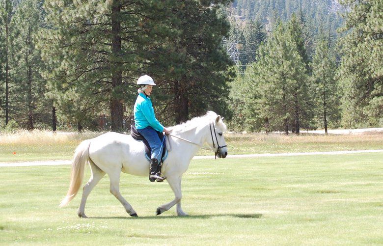 A year into her succession plan, Harriet Bullitt prepares for Sleeping ...