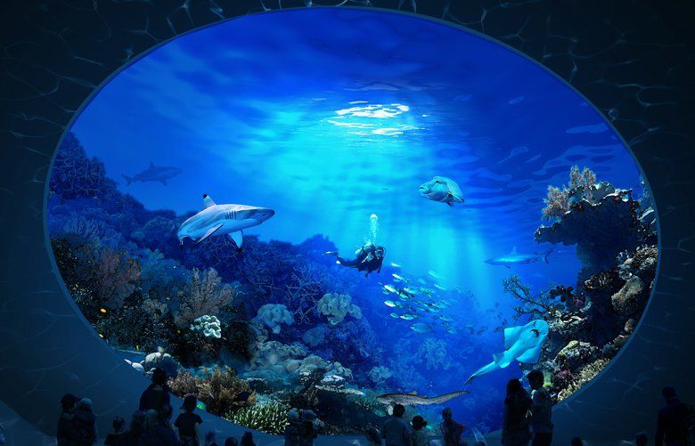 Seattle council approves $34 million for new Seattle Aquarium pavilion ...