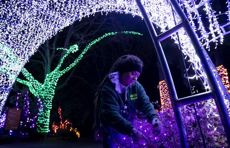Brighten up your holiday weekend with these light festivals | The ...