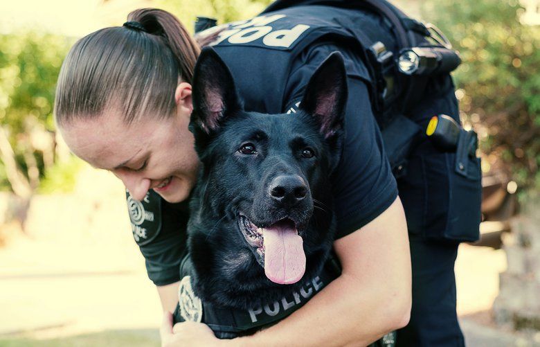 This Seattle K-9 team is hoping to win the title of ‘America’s Top Dog ...