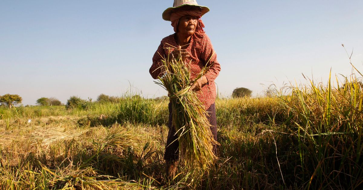 UN: Nearly a half-billion in Asia-Pacific still going hungry | The ...