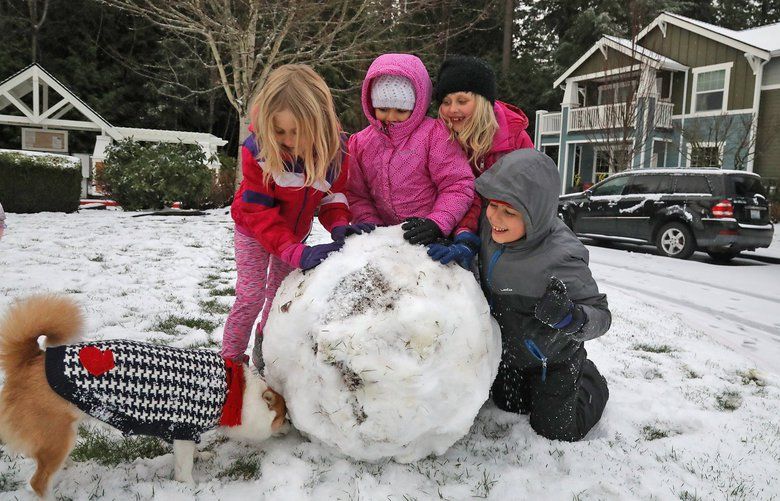 Was last February’s ‘snowmaggedon’ a fluke, or can we expect more like ...