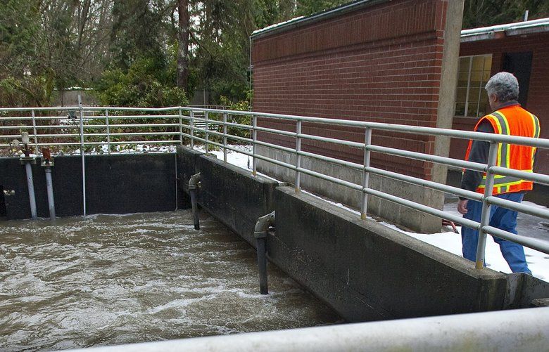 We have the know-how and no time to waste to save Puget Sound | The ...