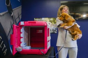 Delta CarePod: What Do The New Cargo Pet Carriers Look Like? Thrillist ...