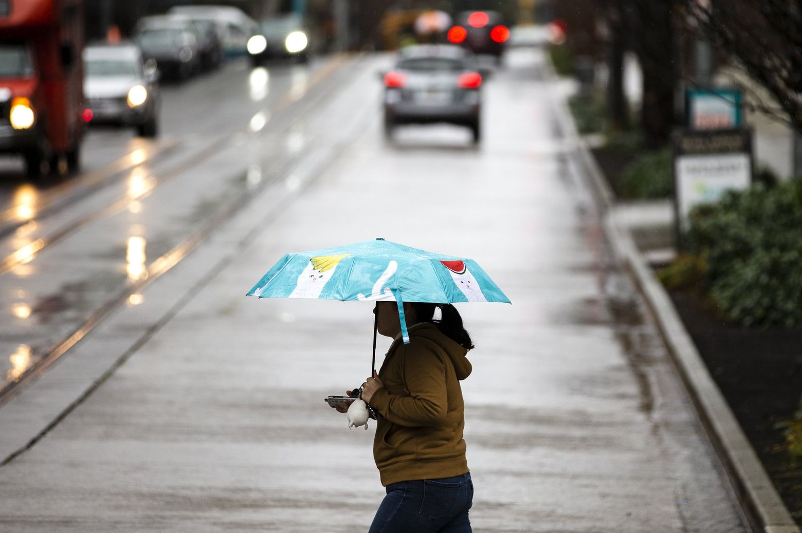 Rare light show for rainy January | The Seattle Times
