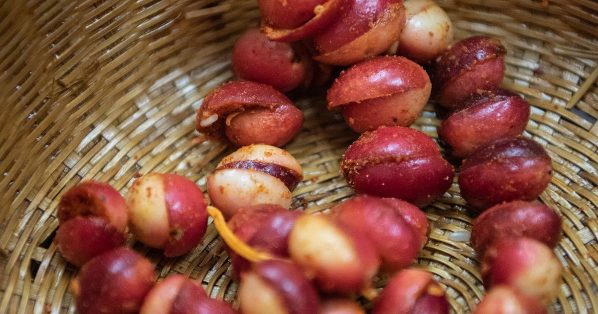 India’s ‘Pickle Queen’ Preserves Everything, Including the Past | The ...