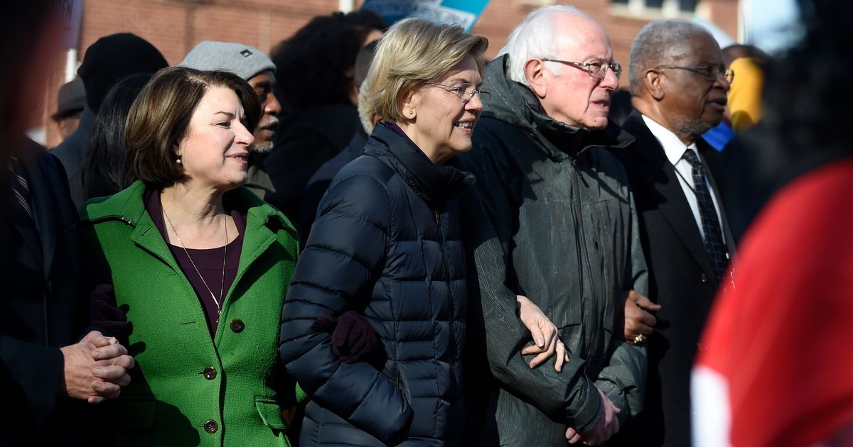 2020 Democratic contenders link arms in MLK Jr. Day march | The Seattle ...