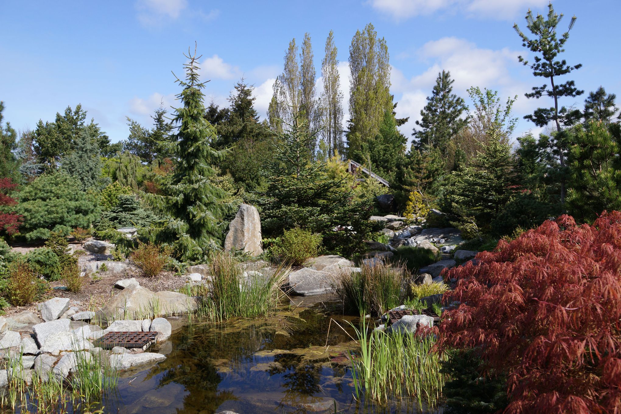 College Stones For Gardens University Of Waterloo Rock Garden | Wat On