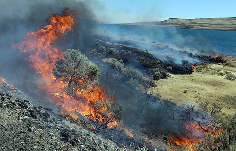 To help control wildfires, feds to pay for 11,000 miles of fuel breaks ...