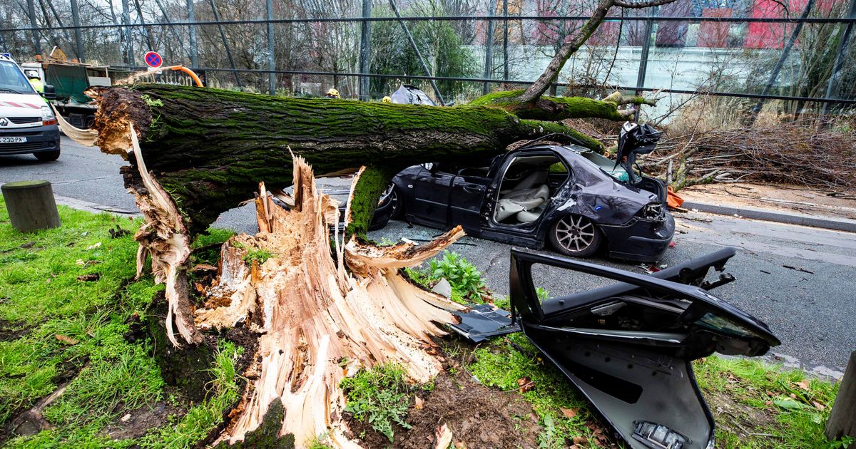 Falling tree crushes car and kills driver near Eiffel Tower | The ...