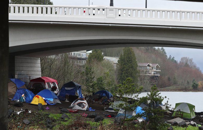 This is how Washington’s stay-at-home order addresses people ...