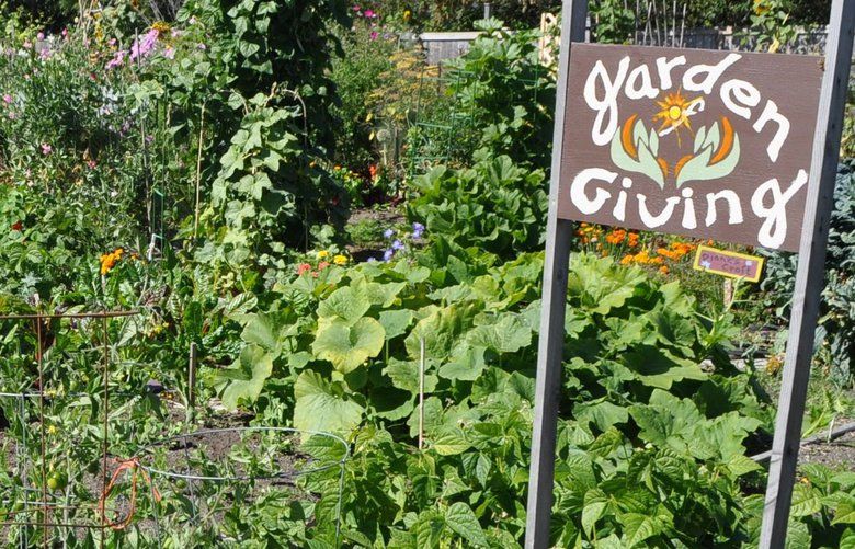 On Earth Day and beyond, Seattle cultivates a community of gardeners ...